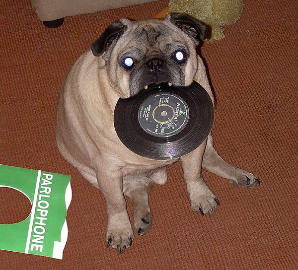 Essential Wally Traugott masterings | Page 11 | Steve Hoffman Music Forums