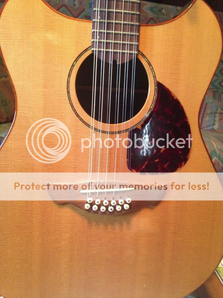 Wechter Elite 12 string - The Acoustic Guitar Forum