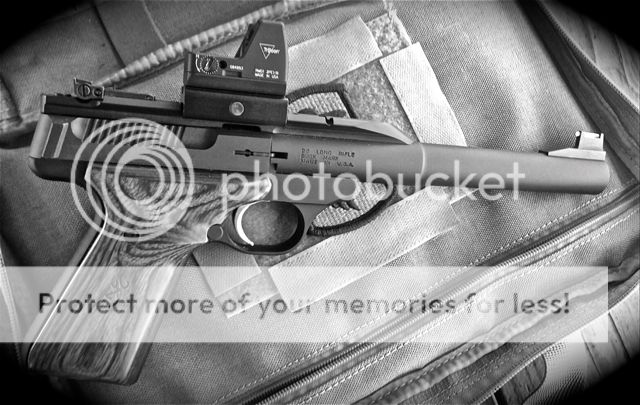 Buckmark Target 5.5 sight hoods | Rimfire Central Firearm Forum