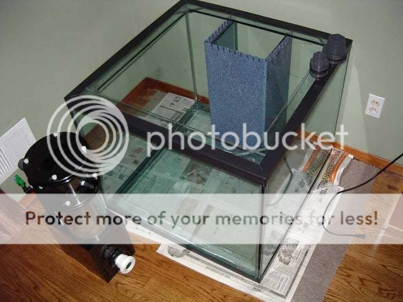 90 Cube Setup for Sale - Reef Central Online Community