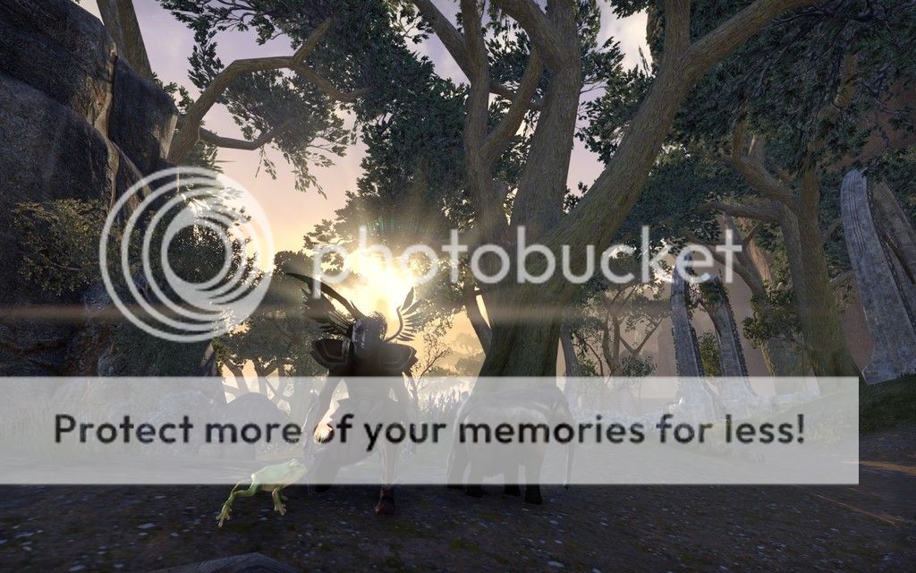 Can we PLS have frogs as a Non-Combat pet? — Elder Scrolls Online