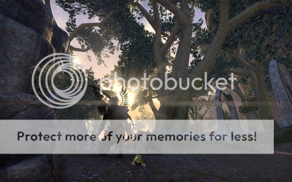 Can we PLS have frogs as a Non-Combat pet? — Elder Scrolls Online