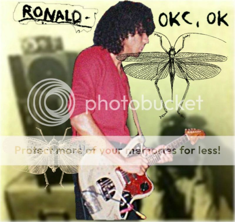 Ronald Jones Flaming Lips Tribute Guitar** - OffsetGuitars.com