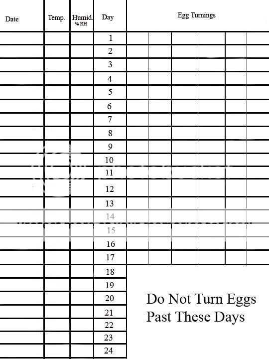 Incubator progress chart | BackYard Chickens - Learn How to Raise Chickens
