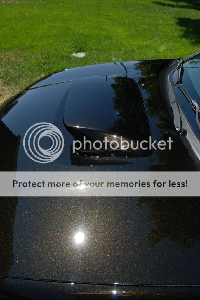 My 4th Subaru-2004 Java Black Pearl WRX - NASIOC