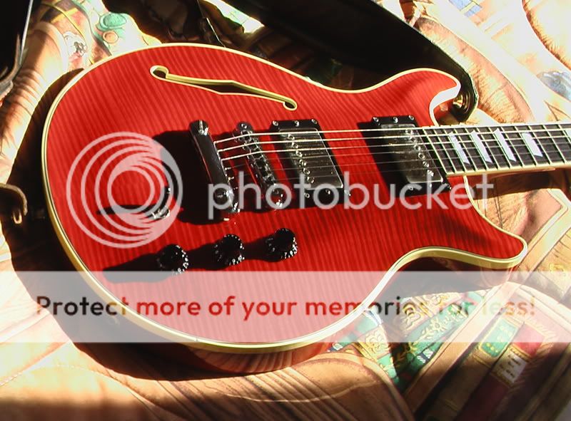 Wanted to Buy - Hamer 25th Anniversary Limited Edition - For Sale ...