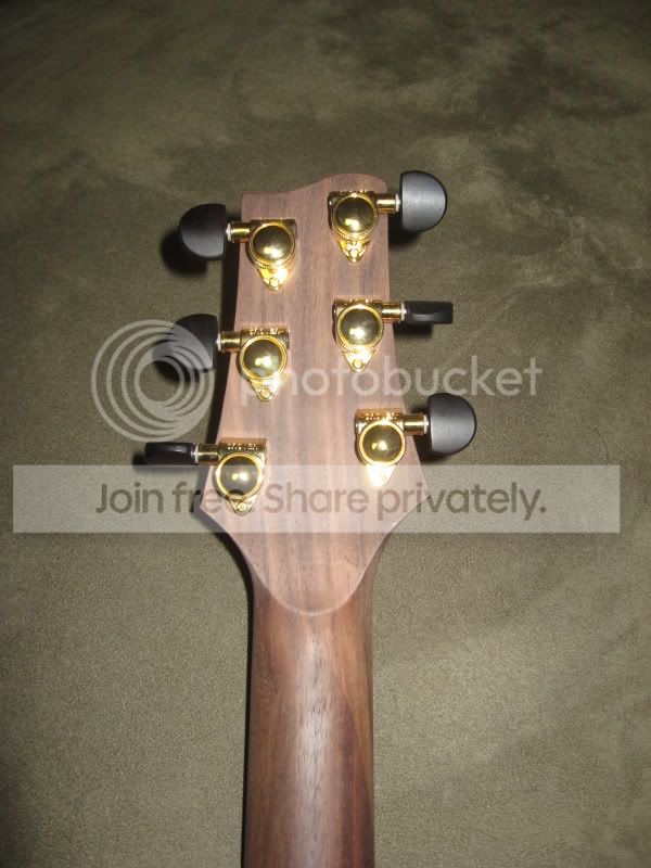 Washed Blue Dye - Hollow VIP | Unofficial Warmoth Forum