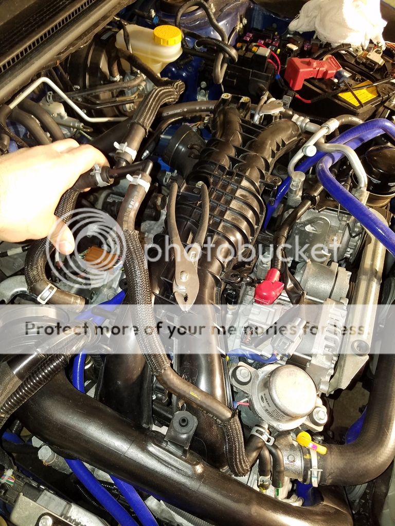 Walnut Blasting Intake Valves for 2015+ WRX FA20 DIT | Subaru WRX Forum