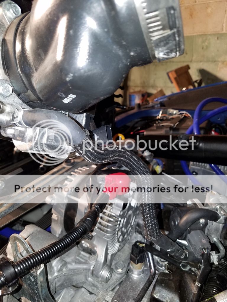 Walnut Blasting Intake Valves for 2015+ WRX FA20 DIT | Subaru WRX Forum