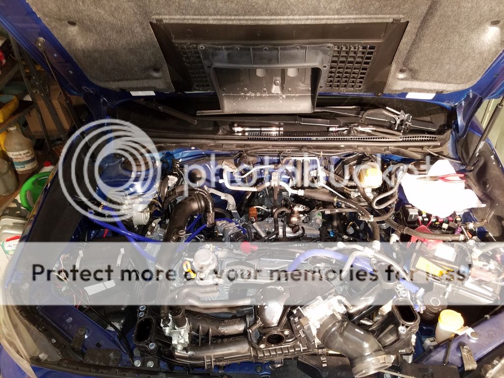 Walnut Blasting Intake Valves for 2015+ WRX FA20 DIT | Subaru WRX Forum