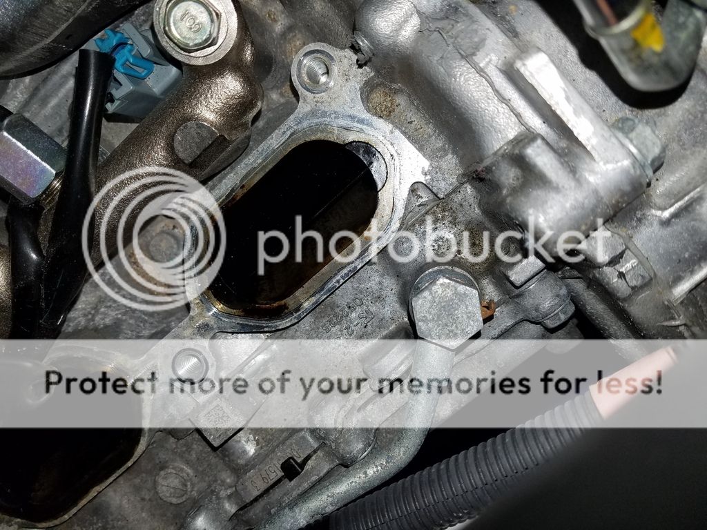 Walnut Blasting Intake Valves for 2015+ WRX FA20 DIT | Subaru WRX Forum