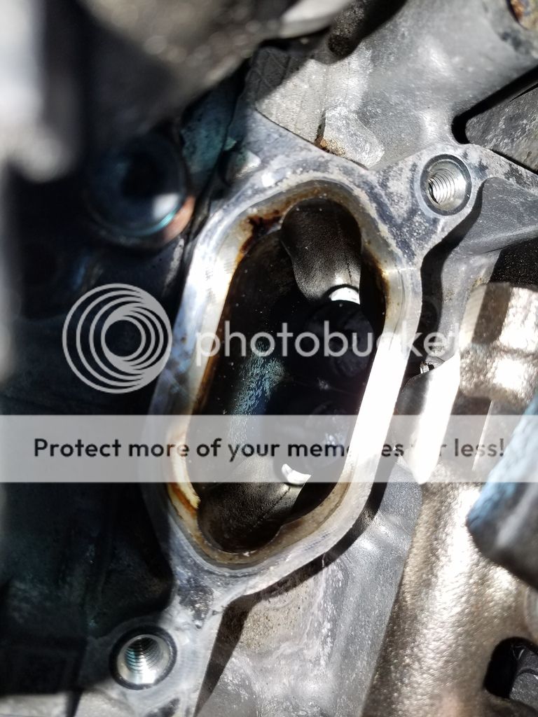 Walnut Blasting Intake Valves for 2015+ WRX FA20 DIT | Subaru WRX Forum