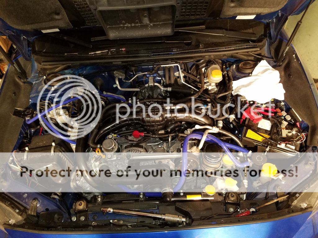 Walnut Blasting Intake Valves for 2015+ WRX FA20 DIT | Subaru WRX Forum