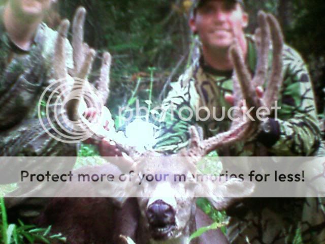 What is about a 200 class buck? | Utah Wildlife Forum