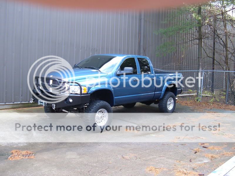 Heavy Duty Brush Guards | Cummins Diesel Forum